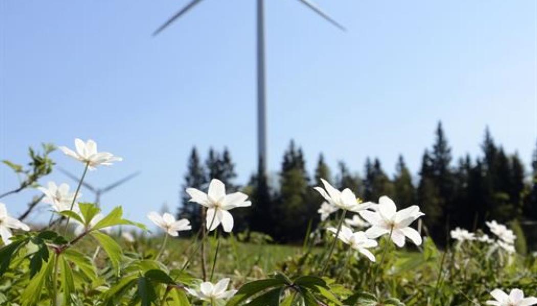 Elpriserna lägre än väntat i vår – trots köldknäppen | ENERGInyheter.se