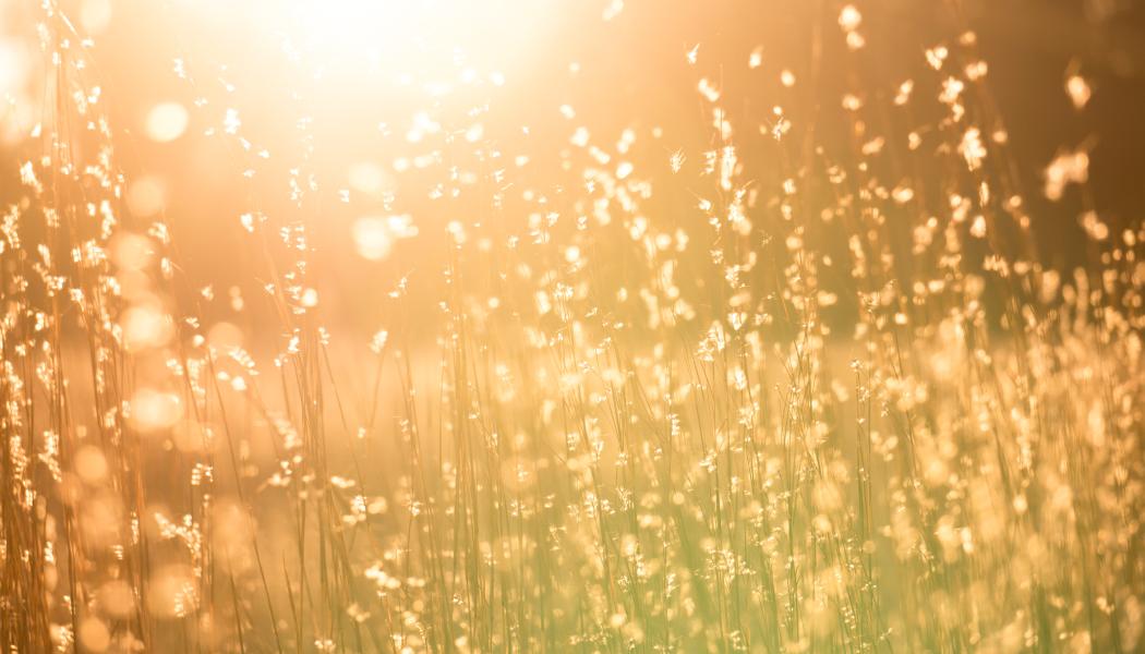 Azelio och Elum Energy i samarbete kring energilagring | ENERGInyheter.se